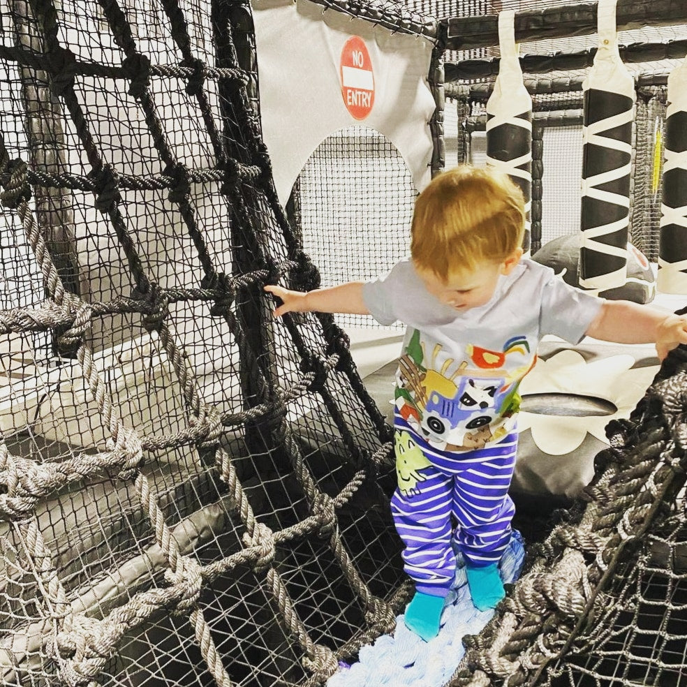 Admissions – Zebras Den Soft Play