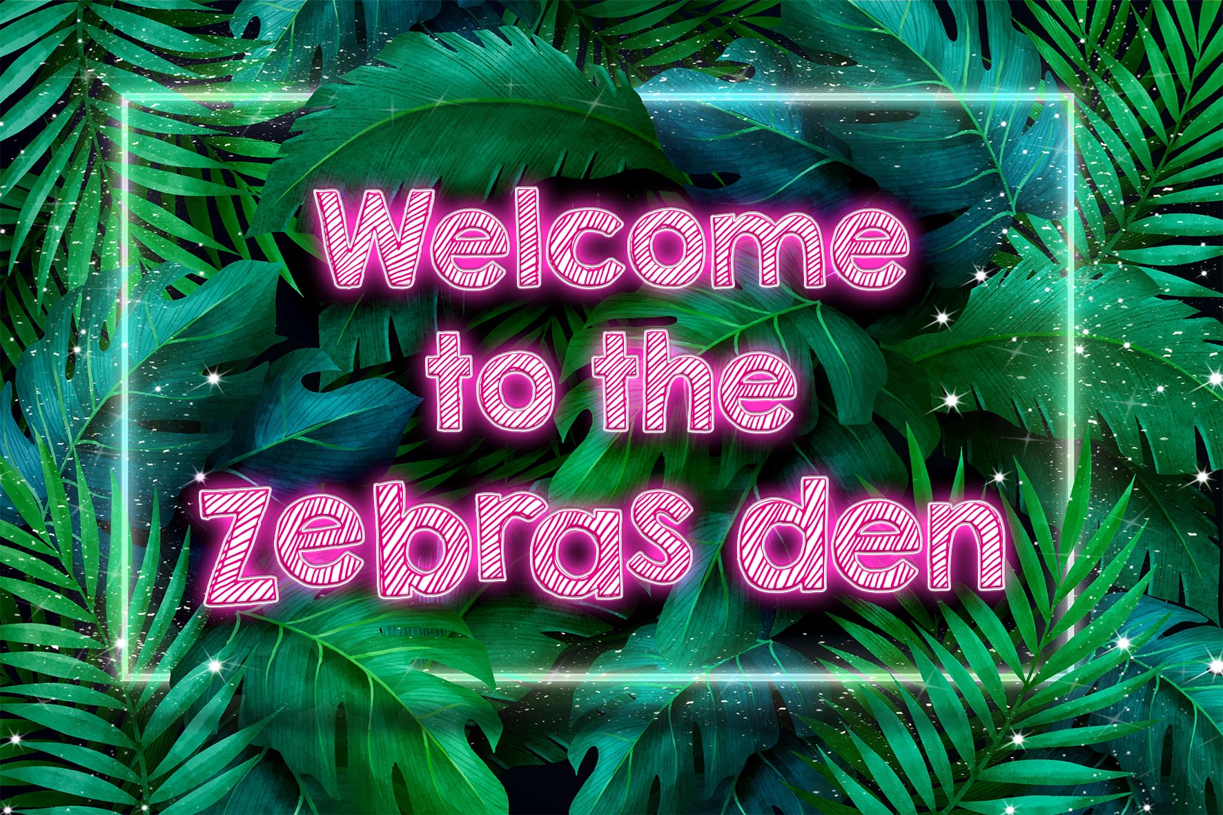 Zebras Den Soft Play